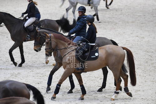 Les émissions de la CHIG TV sont encore disponibles