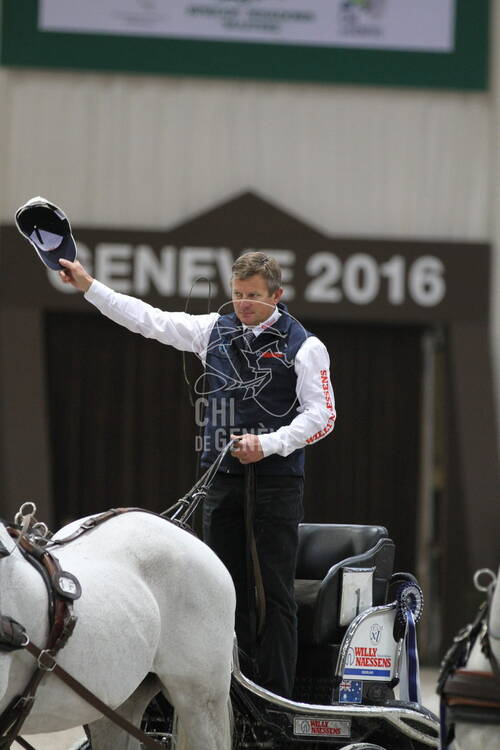 « Malgré sa petite taille, Tobago est un très grand cheval…